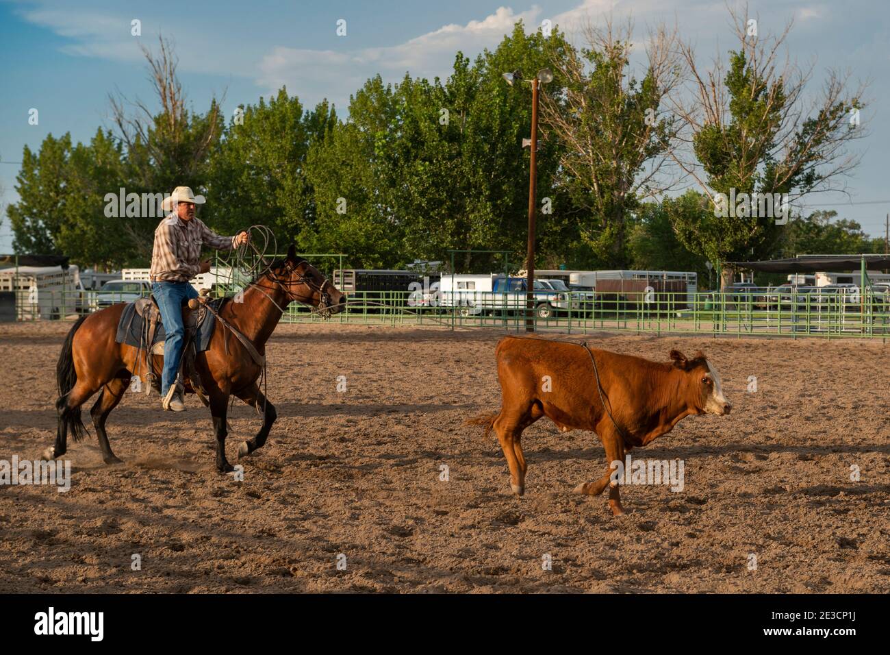 Fallon, Nevada - 2. August 2014: Ein Cowboy auf dem Pferderücken, der ...