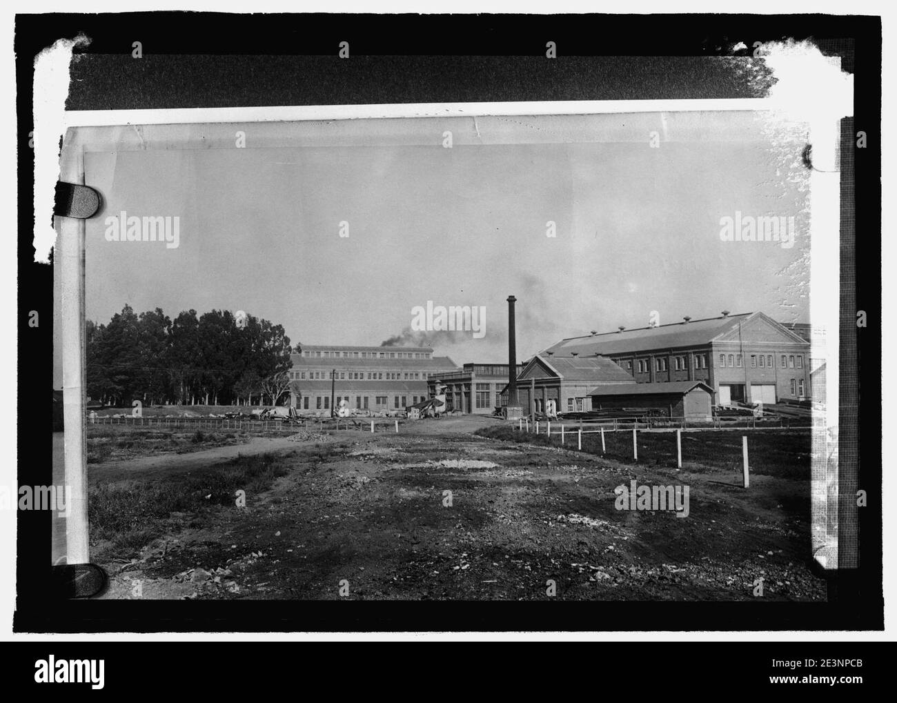 Cal mare -Fotos und -Bildmaterial in hoher Auflösung – Alamy