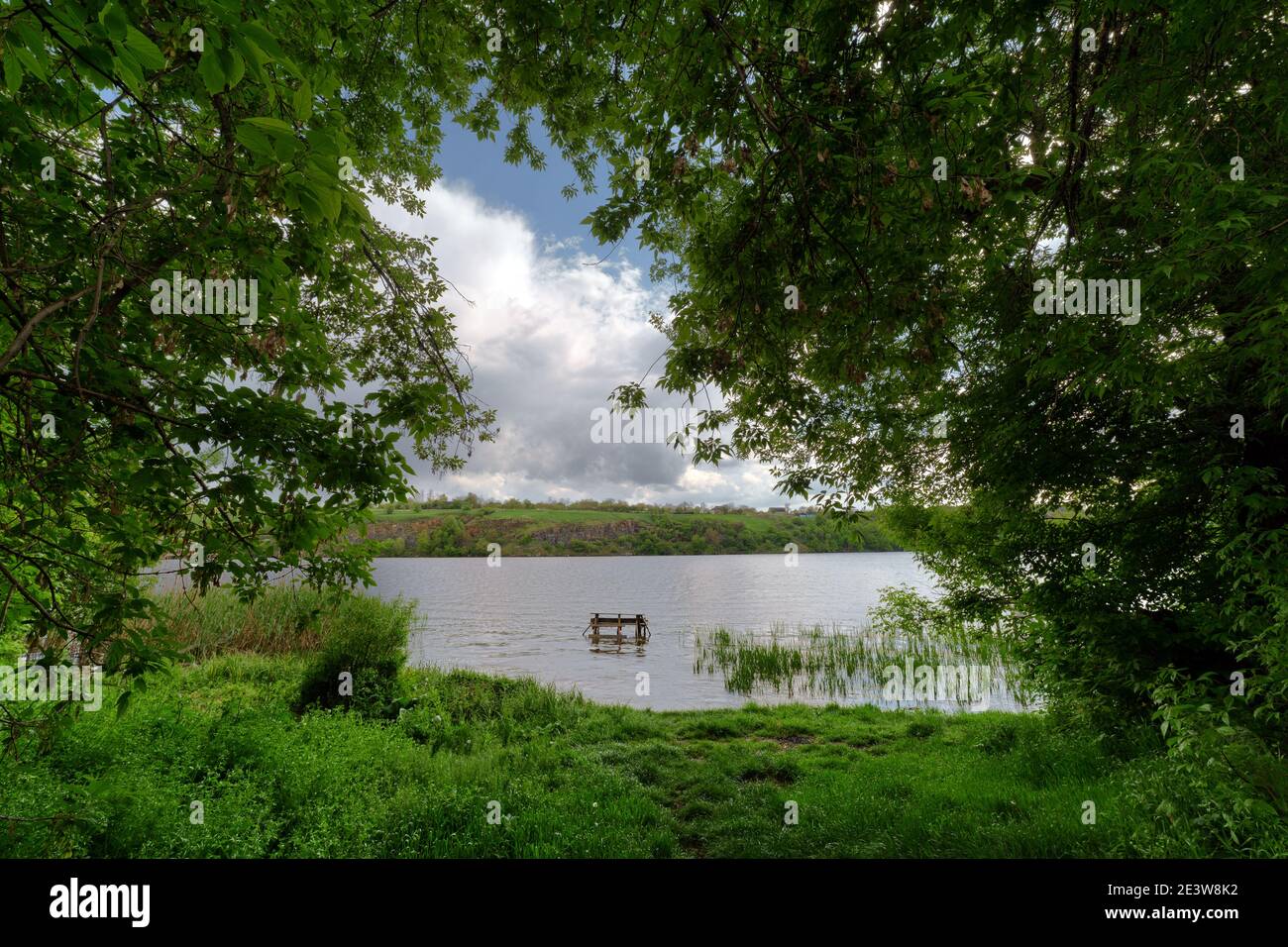 Southern bug -Fotos und -Bildmaterial in hoher Auflösung – Alamy