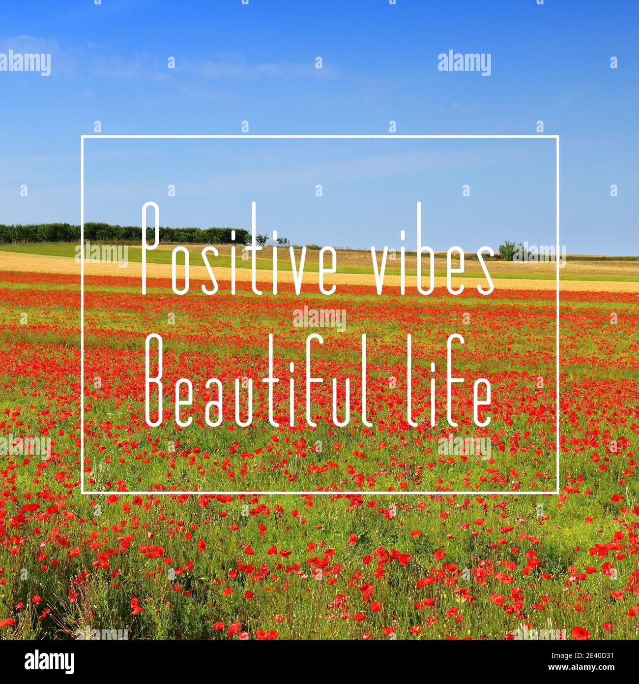 Positive vibe -Fotos und -Bildmaterial in hoher Auflösung – Alamy