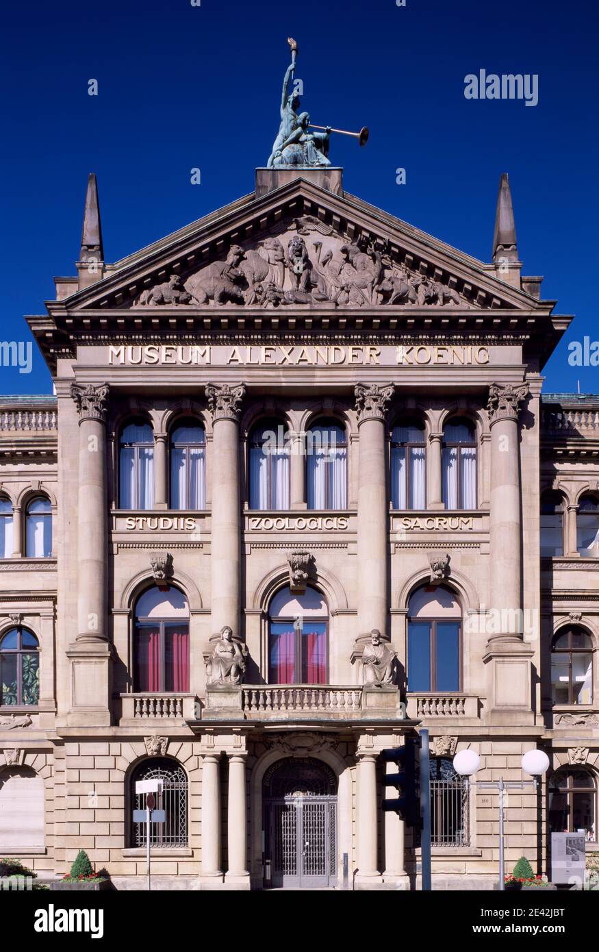 Museum koenig bonn -Fotos und -Bildmaterial in hoher Auflösung – Alamy