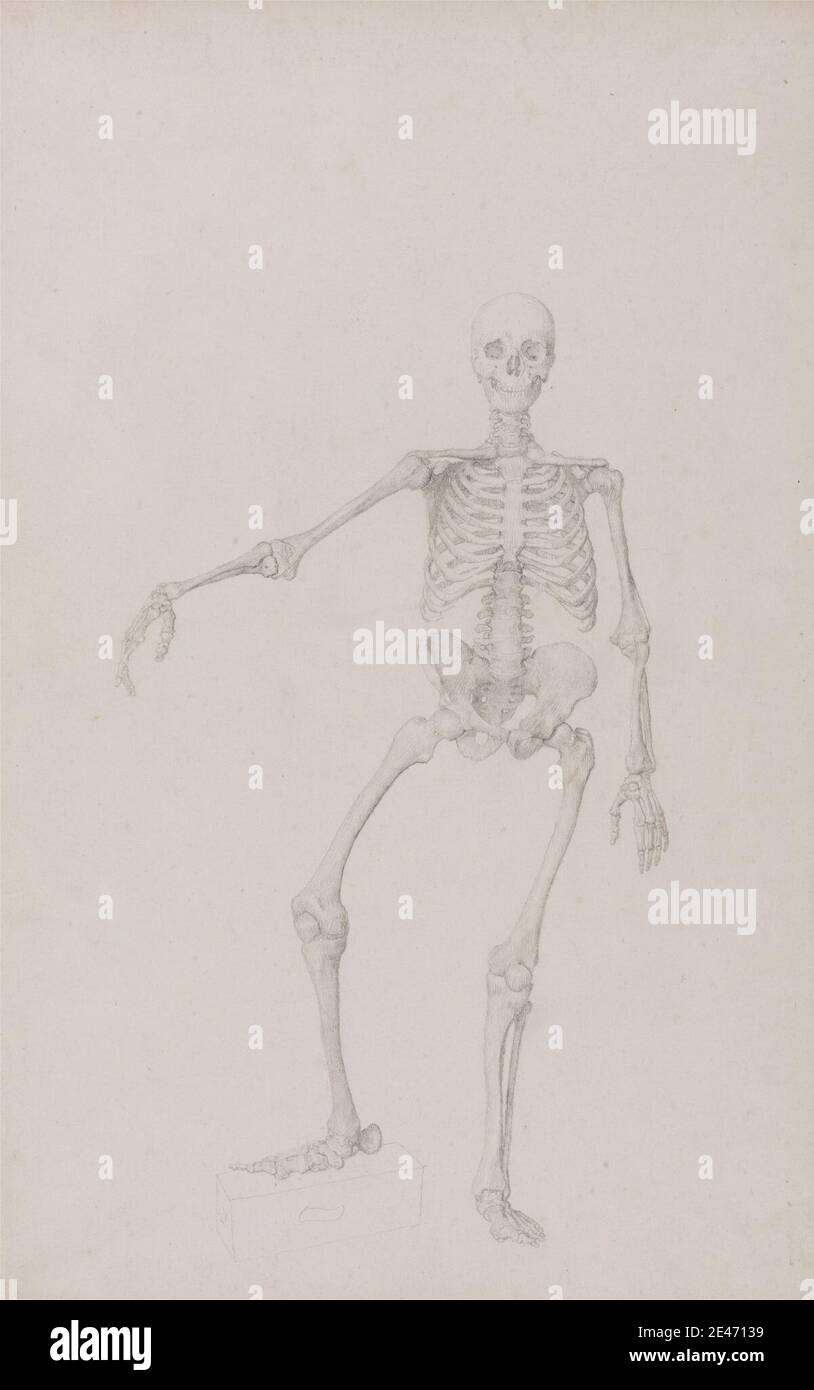 Menschliche leistengegend -Fotos und -Bildmaterial in hoher Auflösung ...