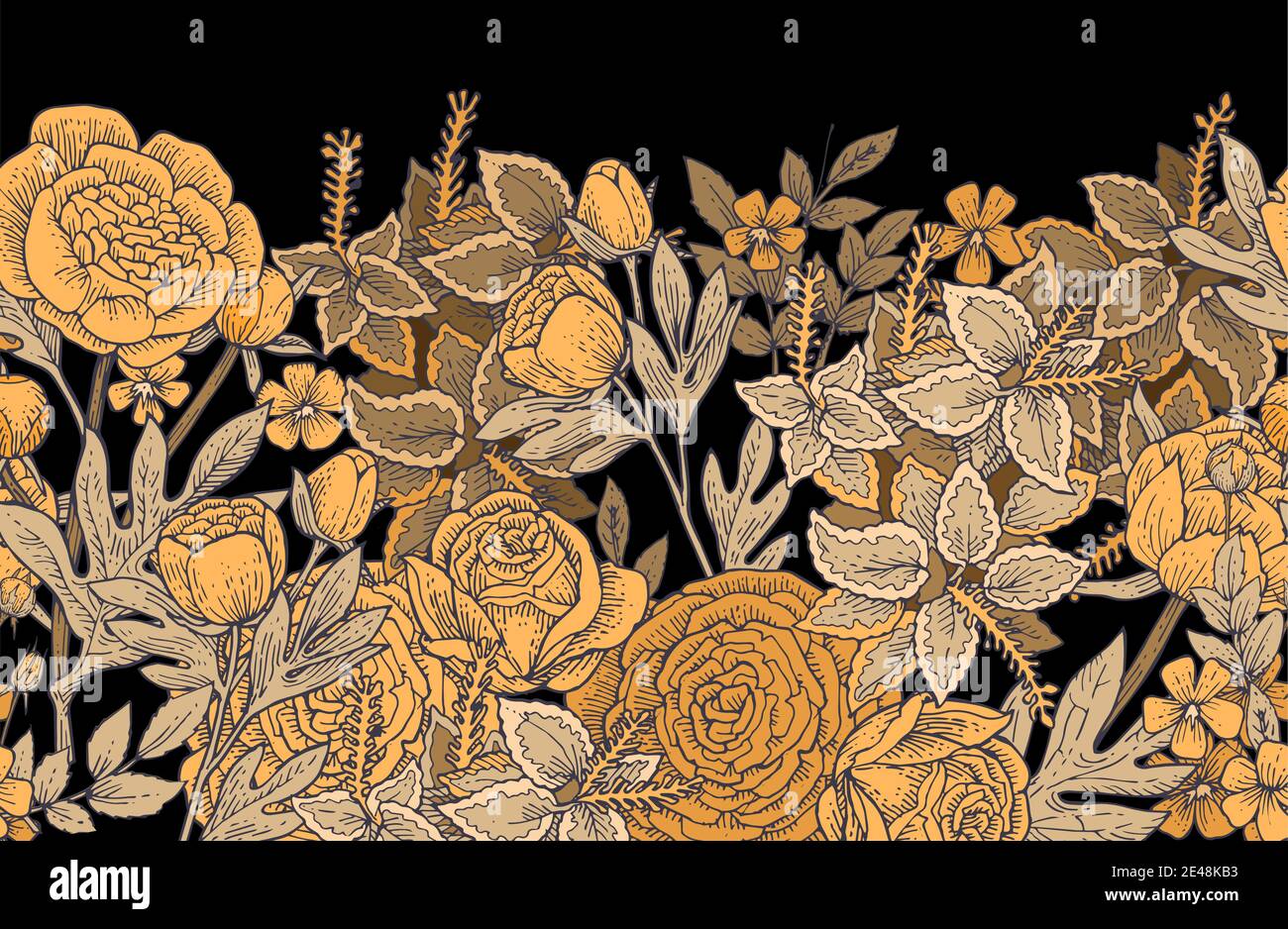 Pfingstrose, Rose, Blumen. Nahtloser Rahmen. Hintergrunddarstellung ...