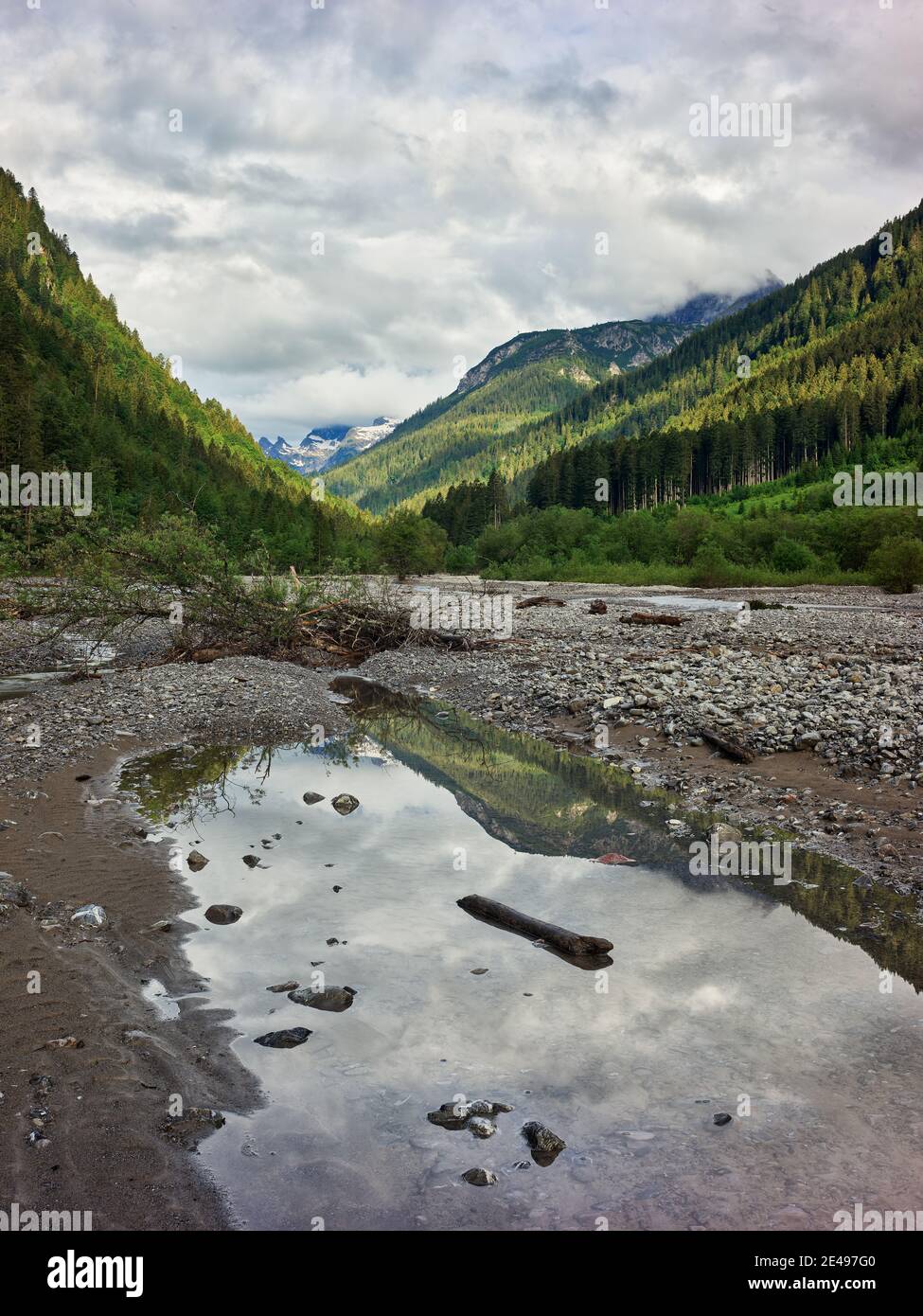 Alpenfluss, Wildfluss, Fluss, Kiesufer, Bergflanke, Berghang, Bergwald ...