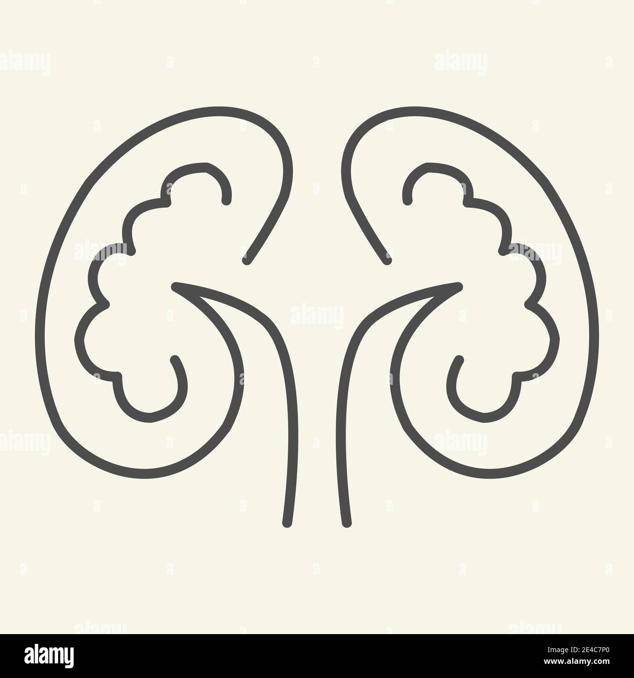 Symbol für dünne Niere. Nieren Symbol Umriss Stil Piktogramm auf weißem ...