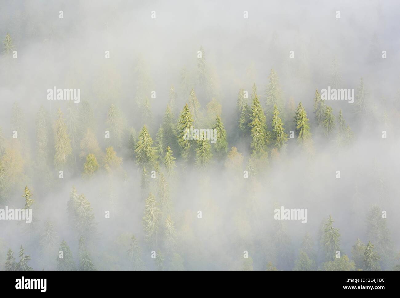 Schweizer berge nebel -Fotos und -Bildmaterial in hoher Auflösung – Alamy