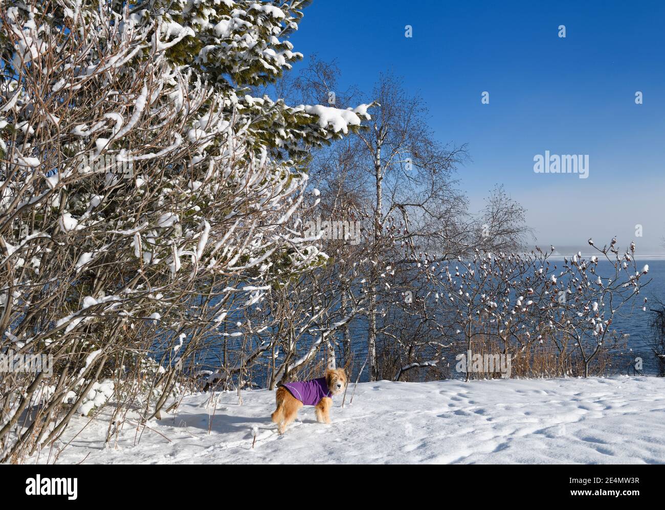 Tyndale park -Fotos und -Bildmaterial in hoher Auflösung – Alamy