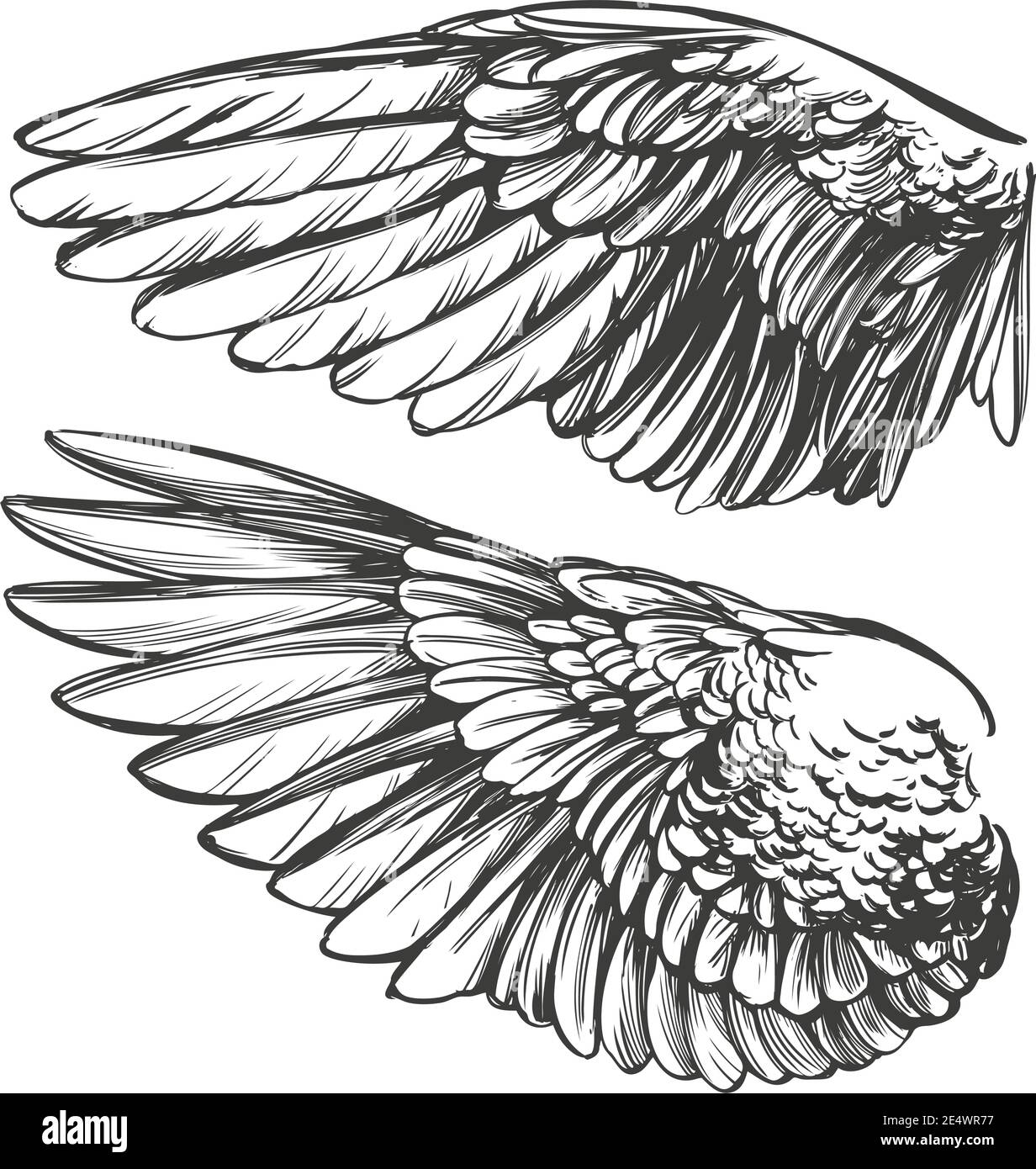 Weiße engelsflügel vorlage Stock-Vektorgrafiken kaufen - Alamy