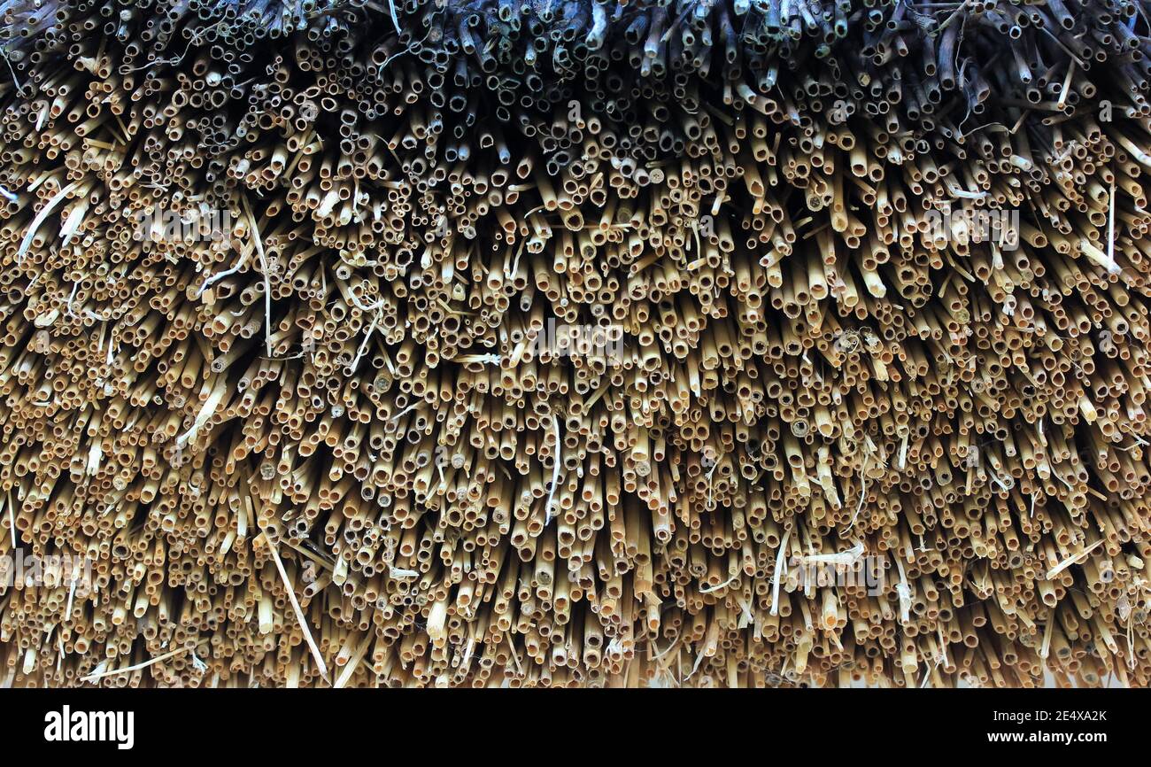 Thatch Roof Texture Stockfotos und -bilder Kaufen - Alamy