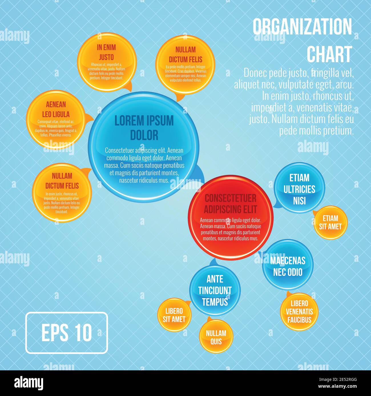 Organizational chart infographic business flowchart Stock ...