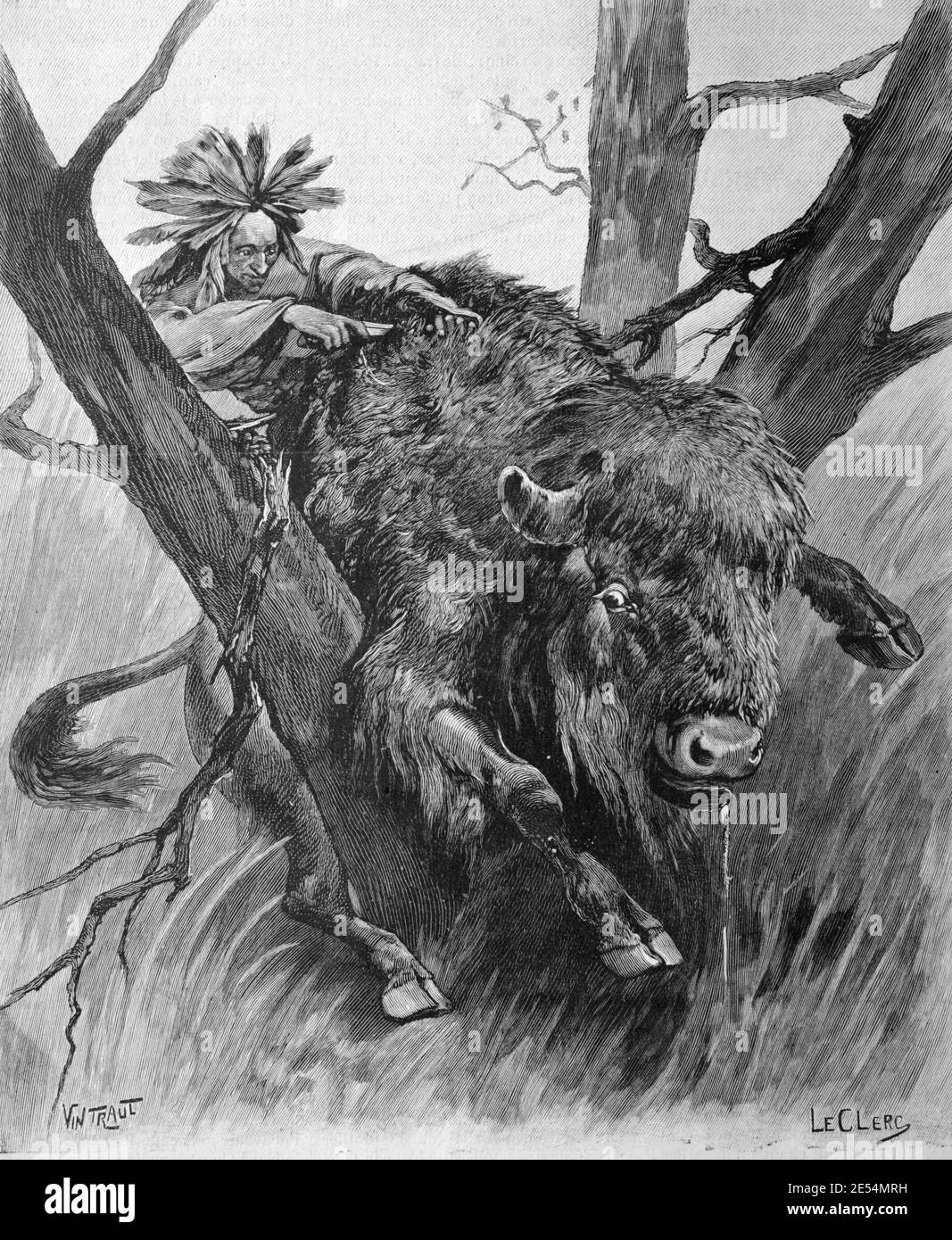 Indianer oder Indianer Jagd American Buffalo (Bison Bison) Oder Bison ...