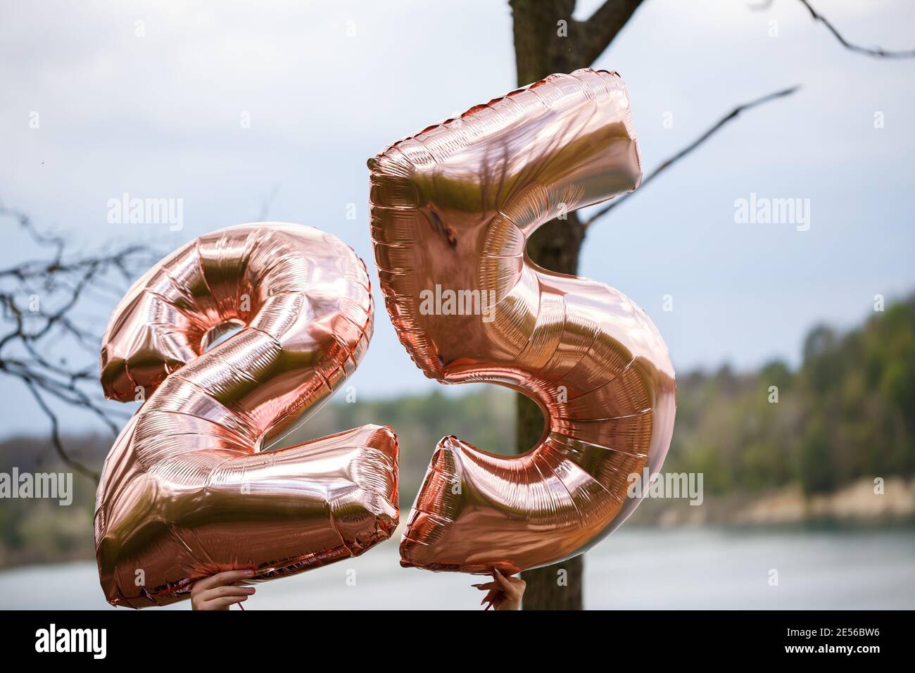 Goldene 25 Geburtstagsfeier Stockfotos und -bilder Kaufen - Alamy