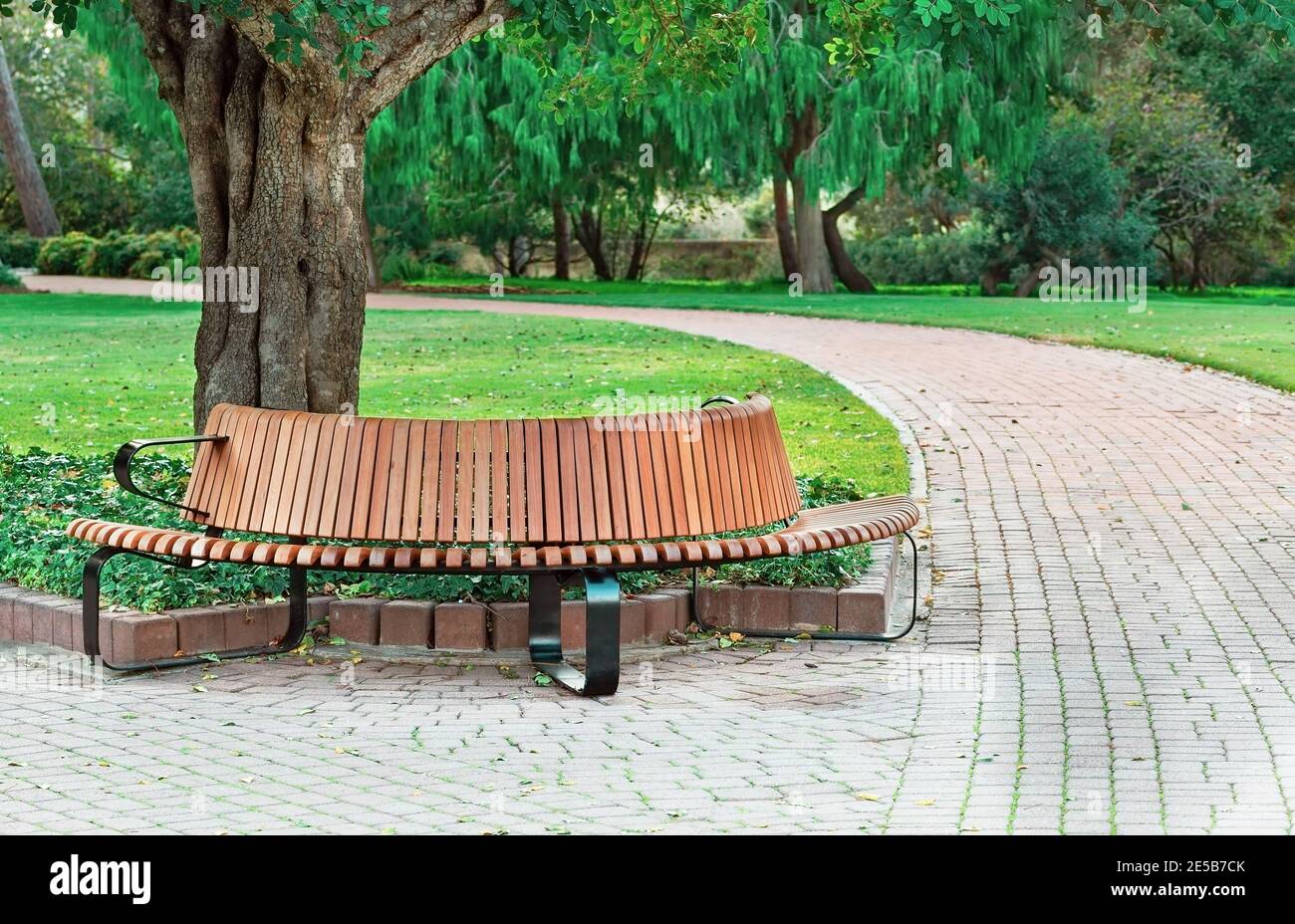 Baumbank im freien -Fotos und -Bildmaterial in hoher Auflösung – Alamy