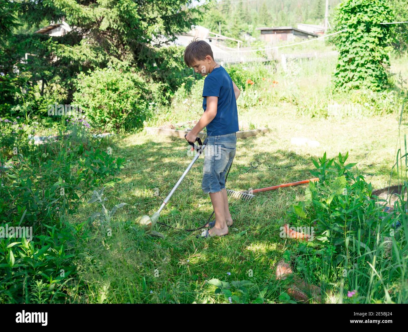 Gras sense mähen -Fotos und -Bildmaterial in hoher Auflösung – Alamy