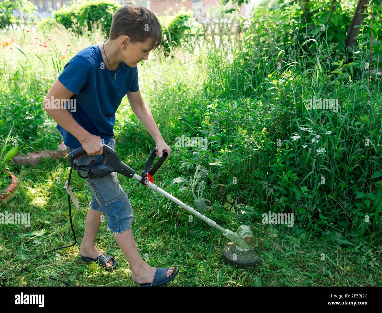 Gras sense mähen -Fotos und -Bildmaterial in hoher Auflösung – Alamy