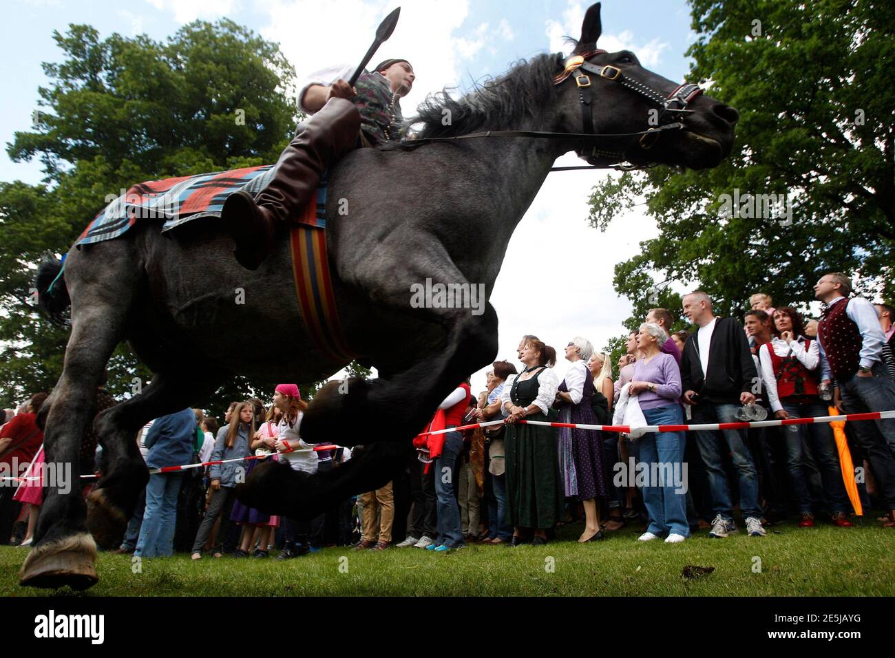 Noriker horses -Fotos und -Bildmaterial in hoher Auflösung – Alamy