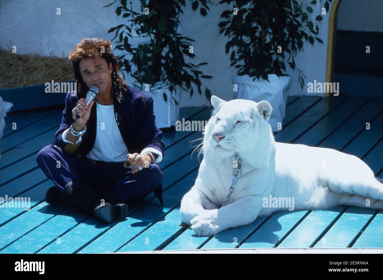 Siegfried and roy tiger -Fotos und -Bildmaterial in hoher Auflösung – Alamy