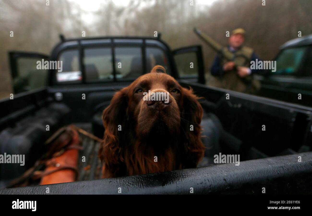 Henry springer -Fotos und -Bildmaterial in hoher Auflösung – Alamy