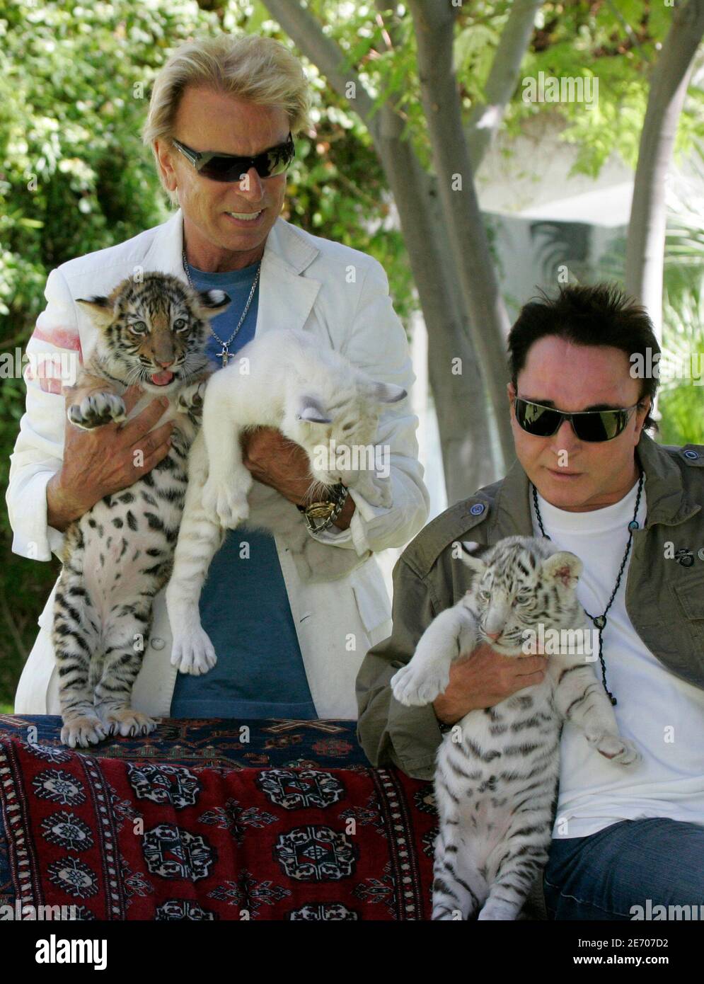 Siegfried and roy tiger -Fotos und -Bildmaterial in hoher Auflösung – Alamy