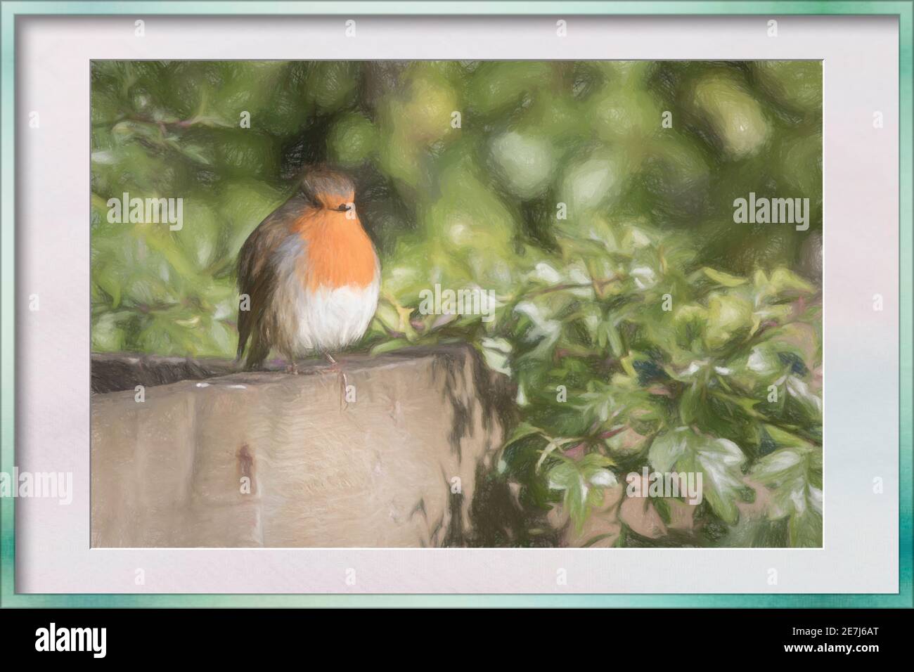 Robin im baum -Fotos und -Bildmaterial in hoher Auflösung – Alamy