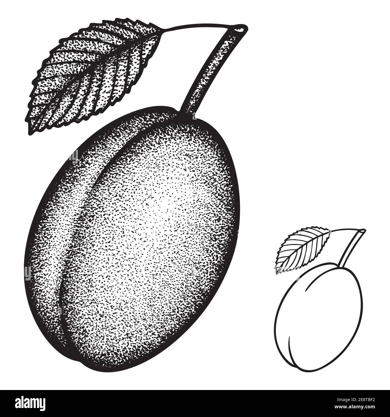 Pflaumen Silhouette Stock-Vektorgrafiken kaufen - Alamy