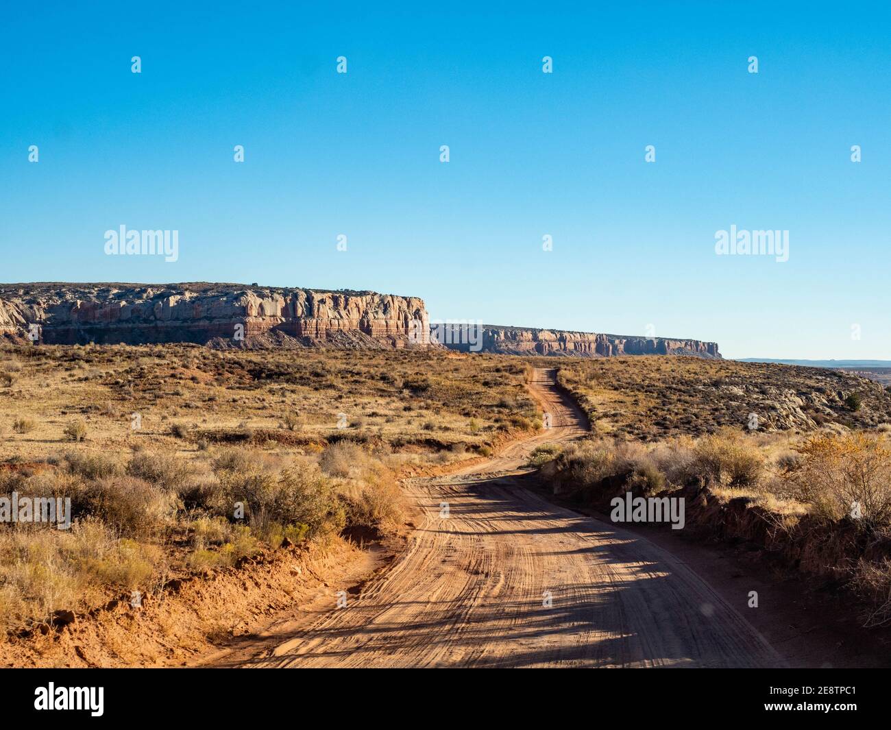 Wolfman panel -Fotos und -Bildmaterial in hoher Auflösung – Alamy