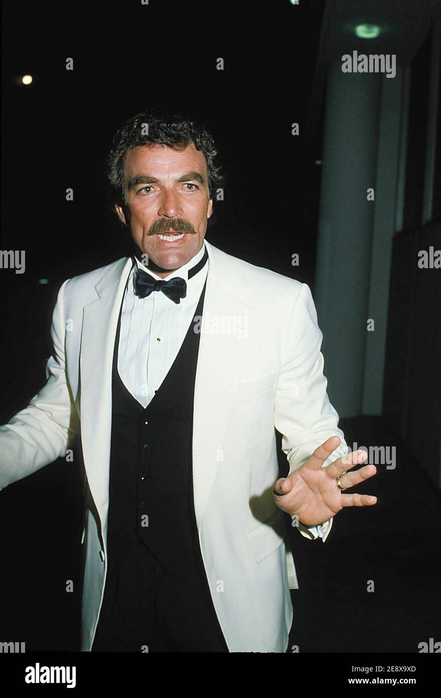 Tom Selleck 1983 Quelle: Ralph Dominguez/MediaPunch Stockfotografie - Alamy