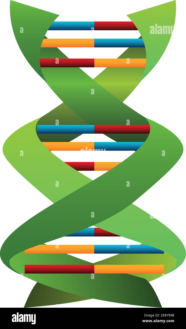 Dna Informationen Ausgeschnittene Stockfotos und -bilder - Alamy