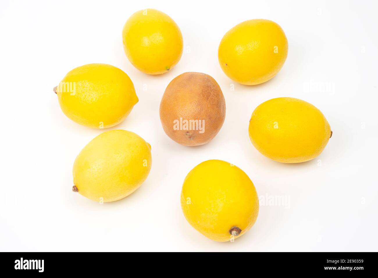 Schimmelige zitronen -Fotos und -Bildmaterial in hoher Auflösung – Alamy