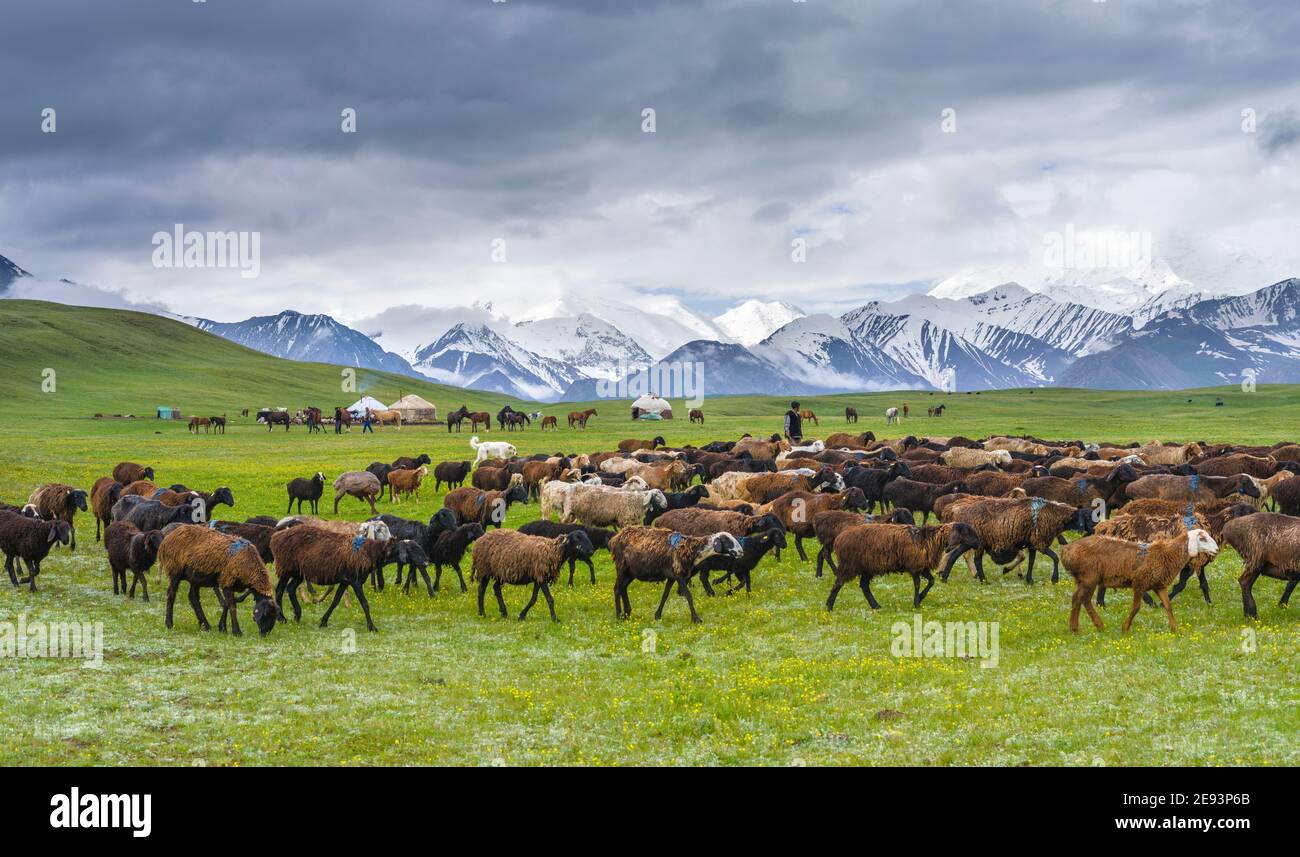 Was Zu Tun In Der Pamir Stockfotos und -bilder Kaufen - Alamy