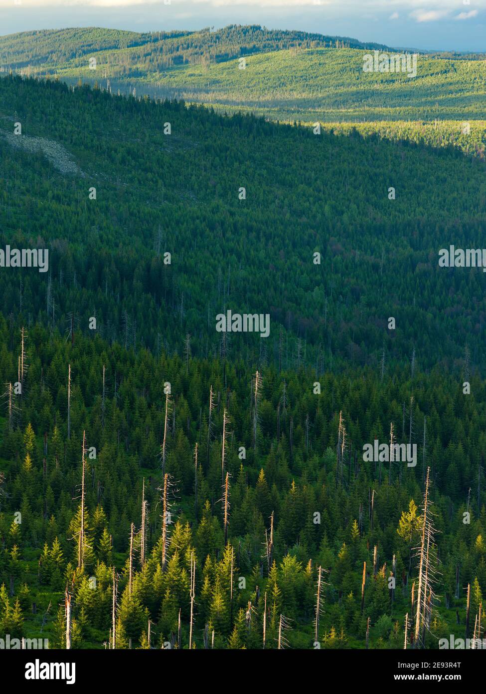 Nationalpark bayerischer wald -Fotos und -Bildmaterial in hoher ...