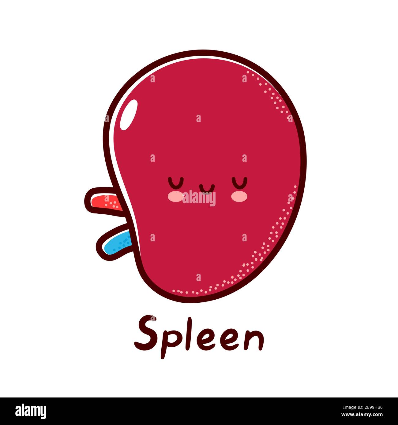 Nette glücklich lustige menschliche Milz Organ Charakter. Vektor flache ...