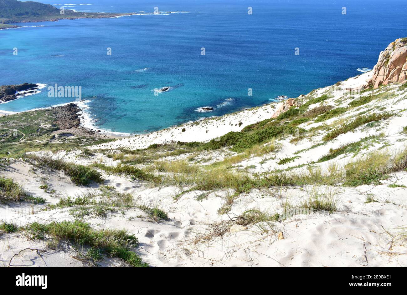 Duna rampante -Fotos und -Bildmaterial in hoher Auflösung – Alamy