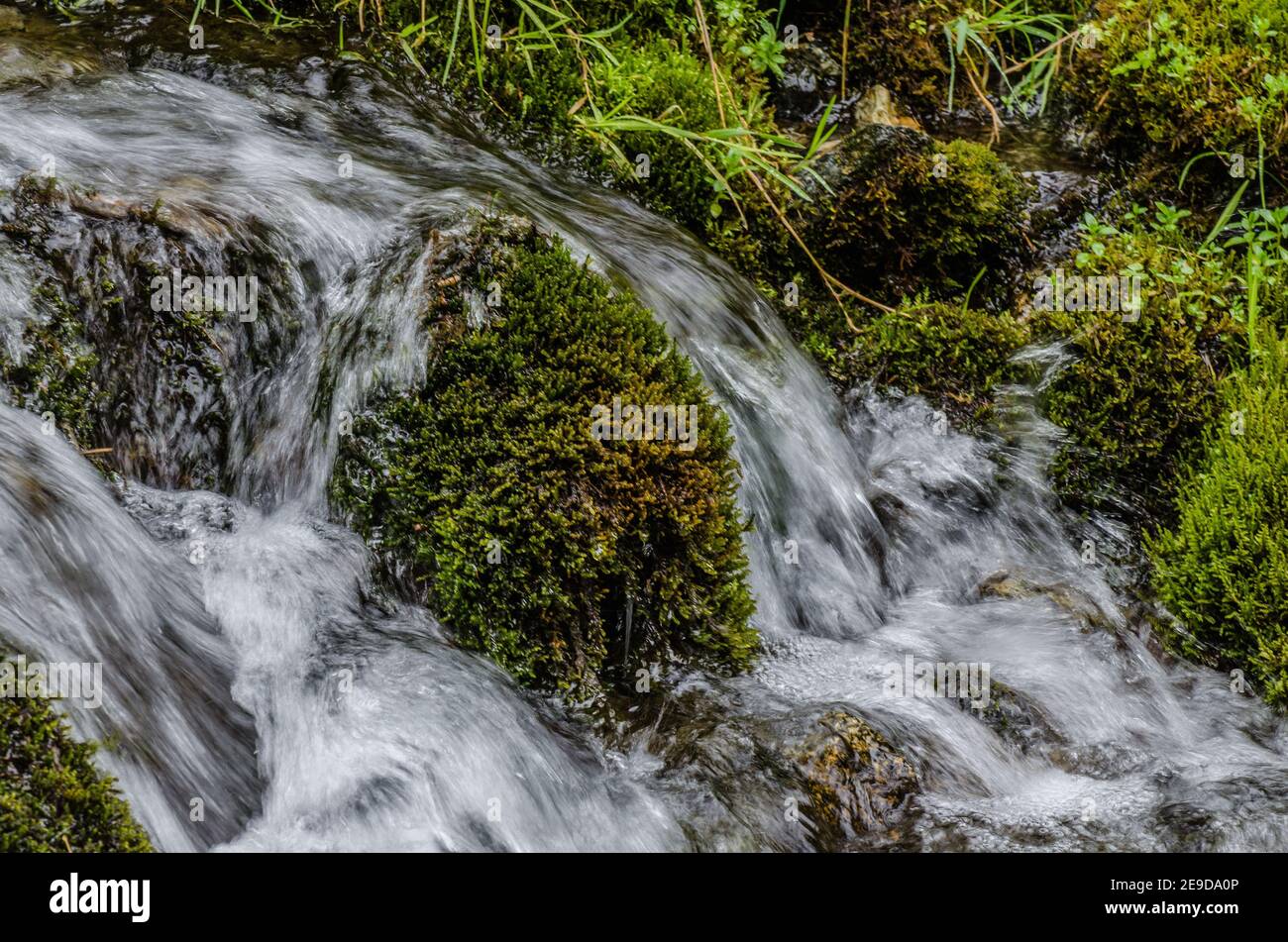 Natürlich natur pur -Fotos und -Bildmaterial in hoher Auflösung – Alamy