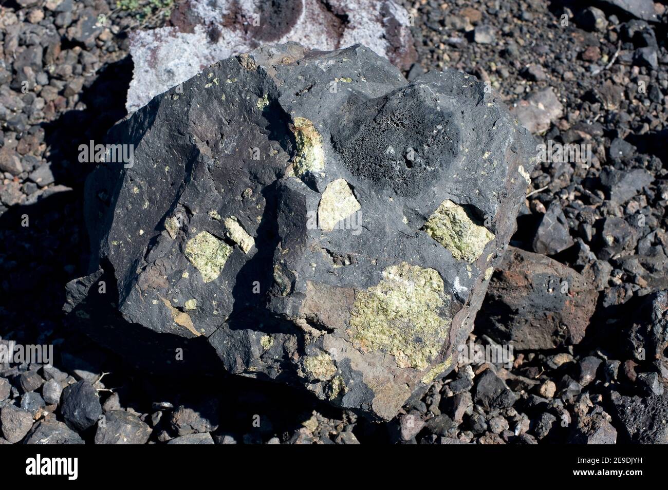 Basalt canary -Fotos und -Bildmaterial in hoher Auflösung – Alamy