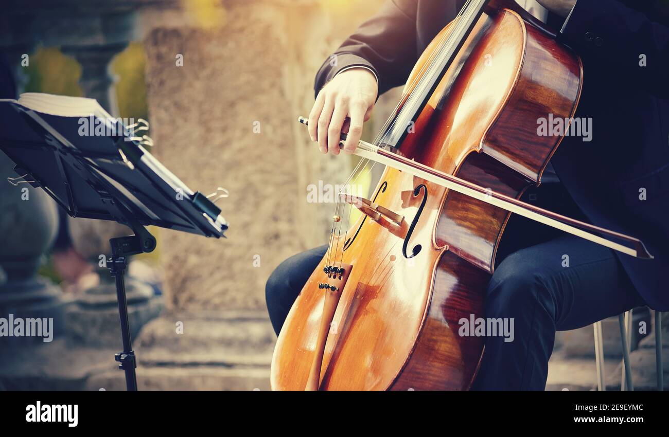 String musician -Fotos und -Bildmaterial in hoher Auflösung – Alamy