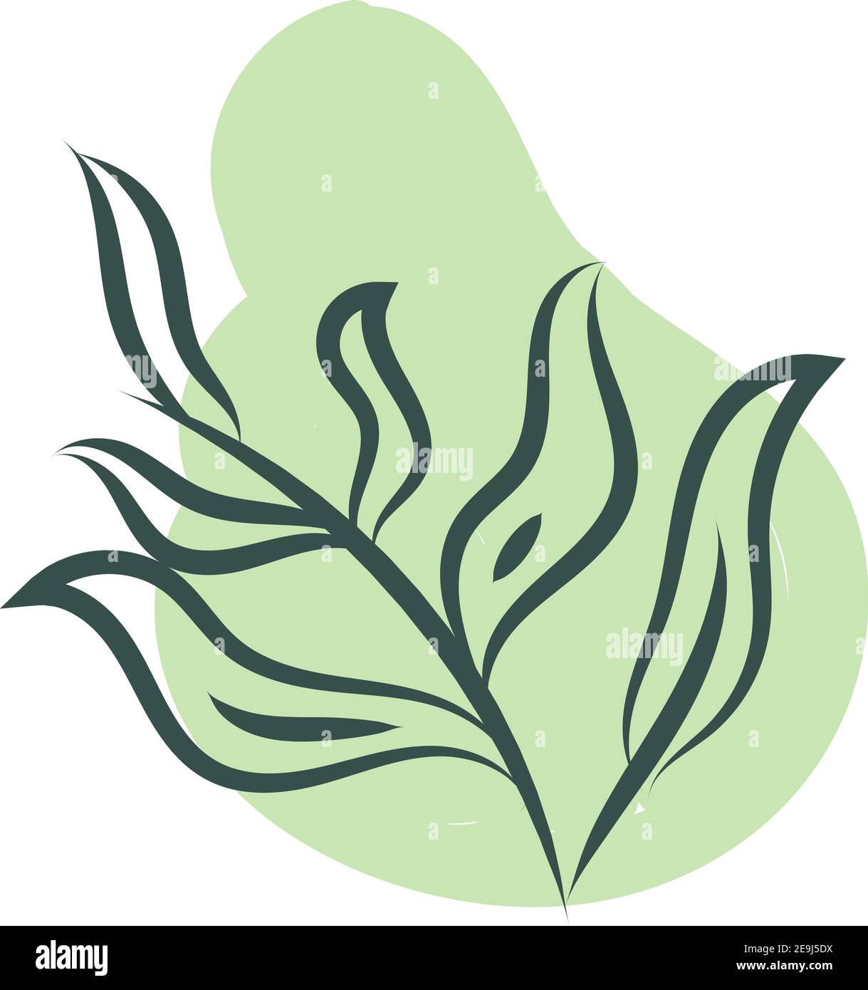 Alga vector vectors -Fotos und -Bildmaterial in hoher Auflösung – Alamy