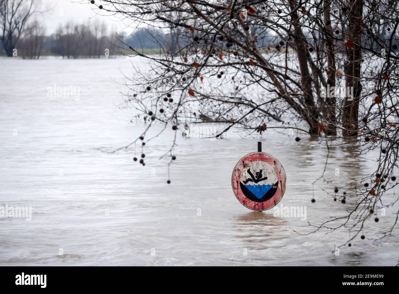 Duisburg, Nordrhein-Westfalen, Deutschland - Hochwasser am Rhein, Bäume ...