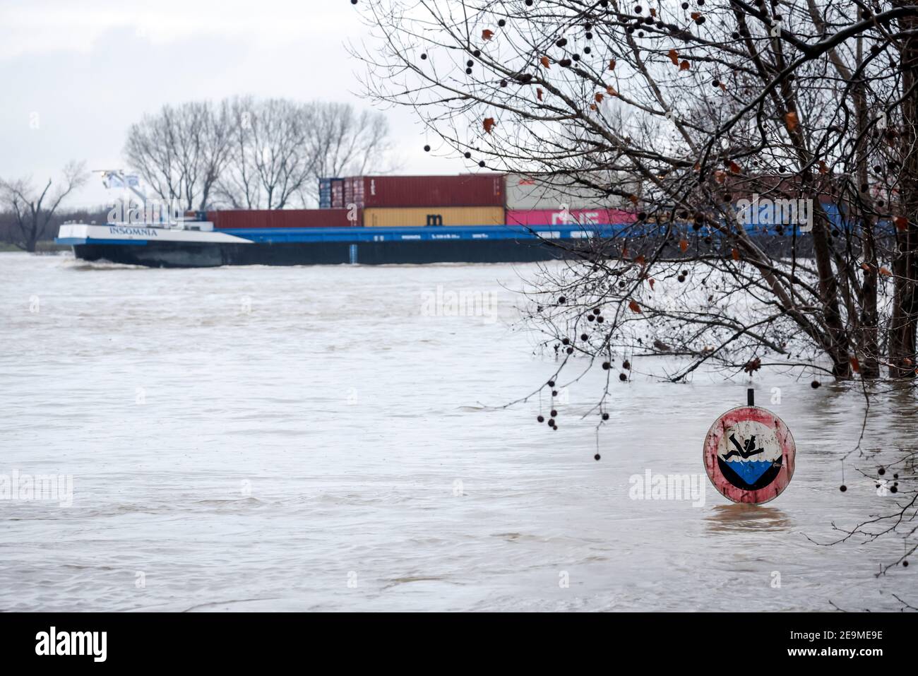 Duisburg, Nordrhein-Westfalen, Deutschland - Hochwasser am Rhein, Bäume ...