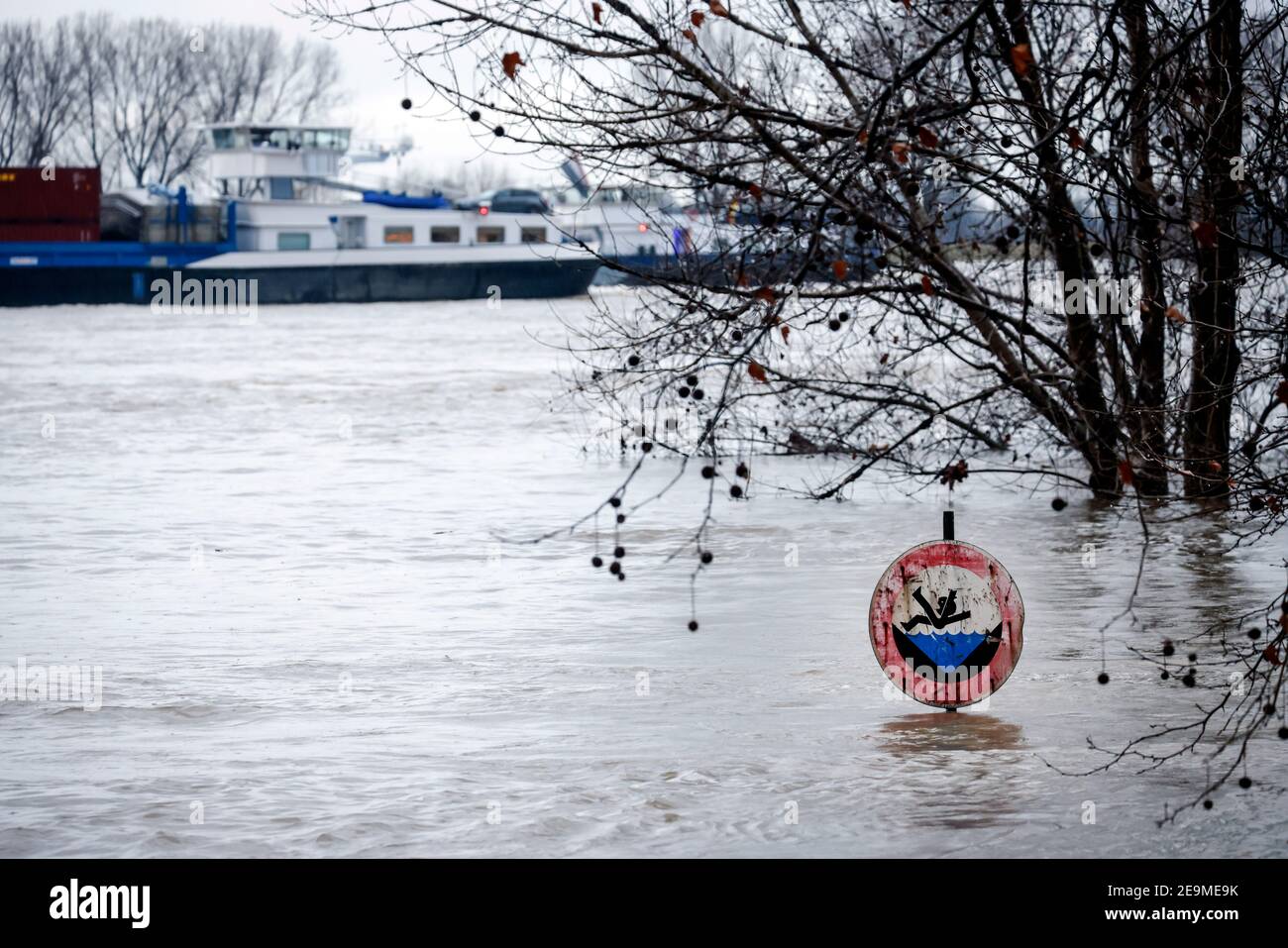 Duisburg, Nordrhein-Westfalen, Deutschland - Hochwasser am Rhein, Bäume ...