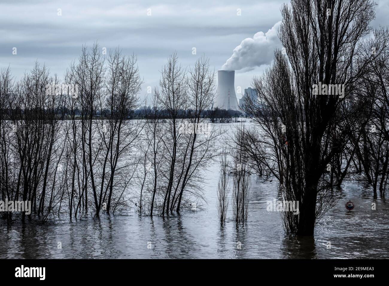 Duisburg, Nordrhein-Westfalen, Deutschland - Hochwasser auf dem Rhein ...