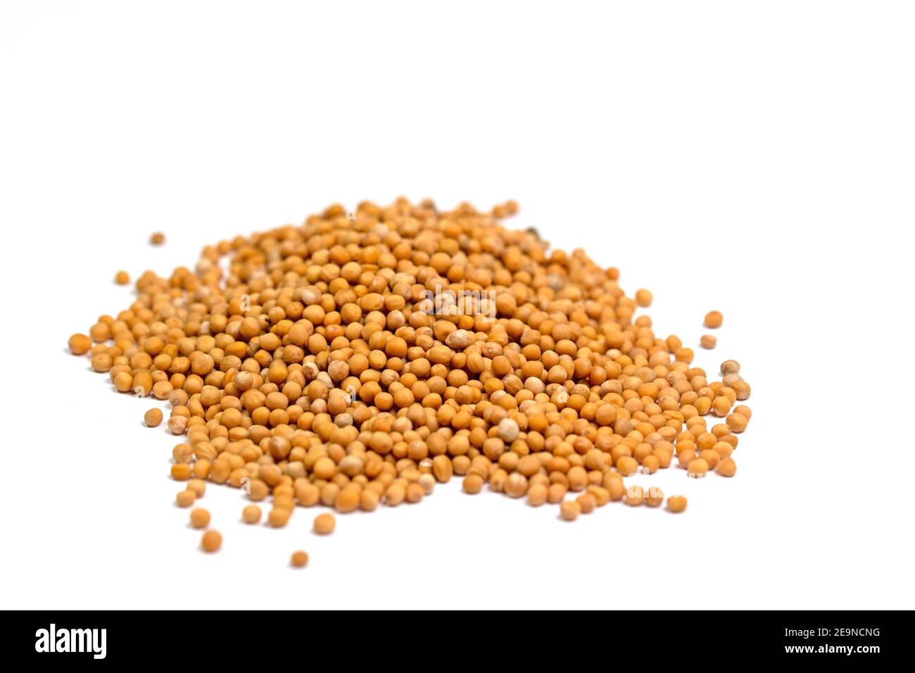 Senf pflanzensamen -Fotos und -Bildmaterial in hoher Auflösung – Alamy