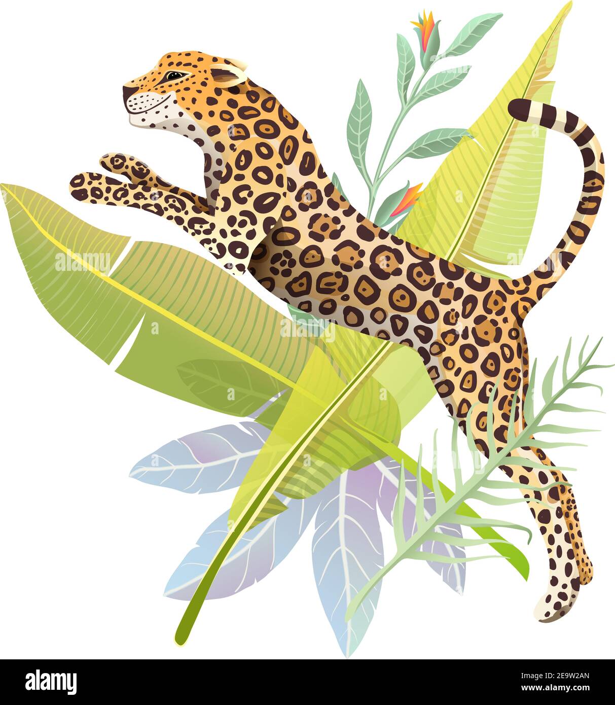 Springender leopard Stock-Vektorgrafiken kaufen - Alamy