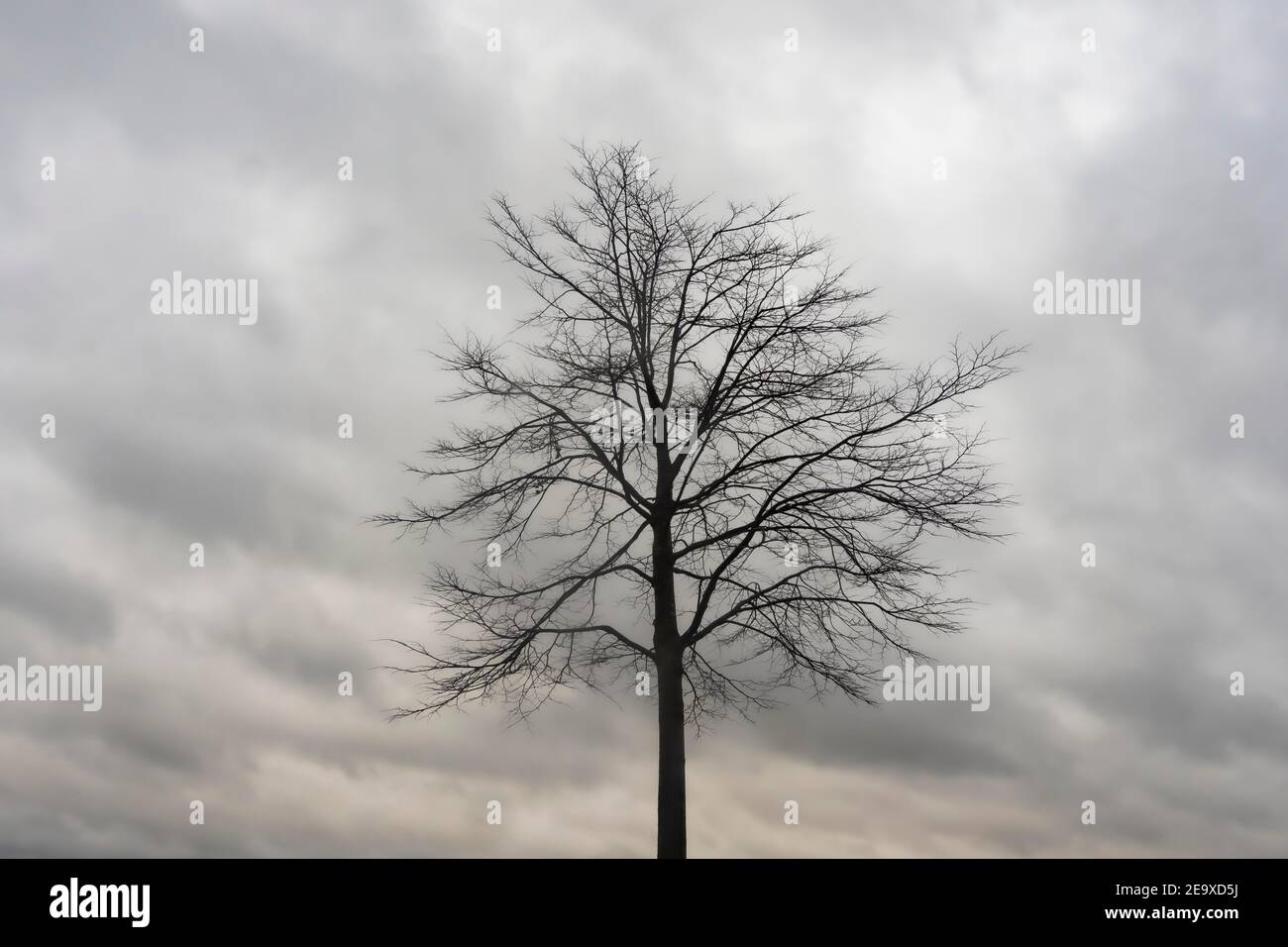 Cloud less sky -Fotos und -Bildmaterial in hoher Auflösung – Alamy