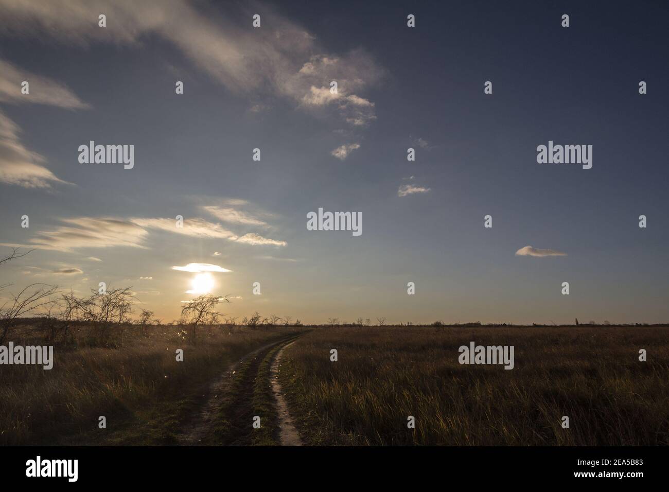 Suboticka pescara -Fotos und -Bildmaterial in hoher Auflösung – Alamy