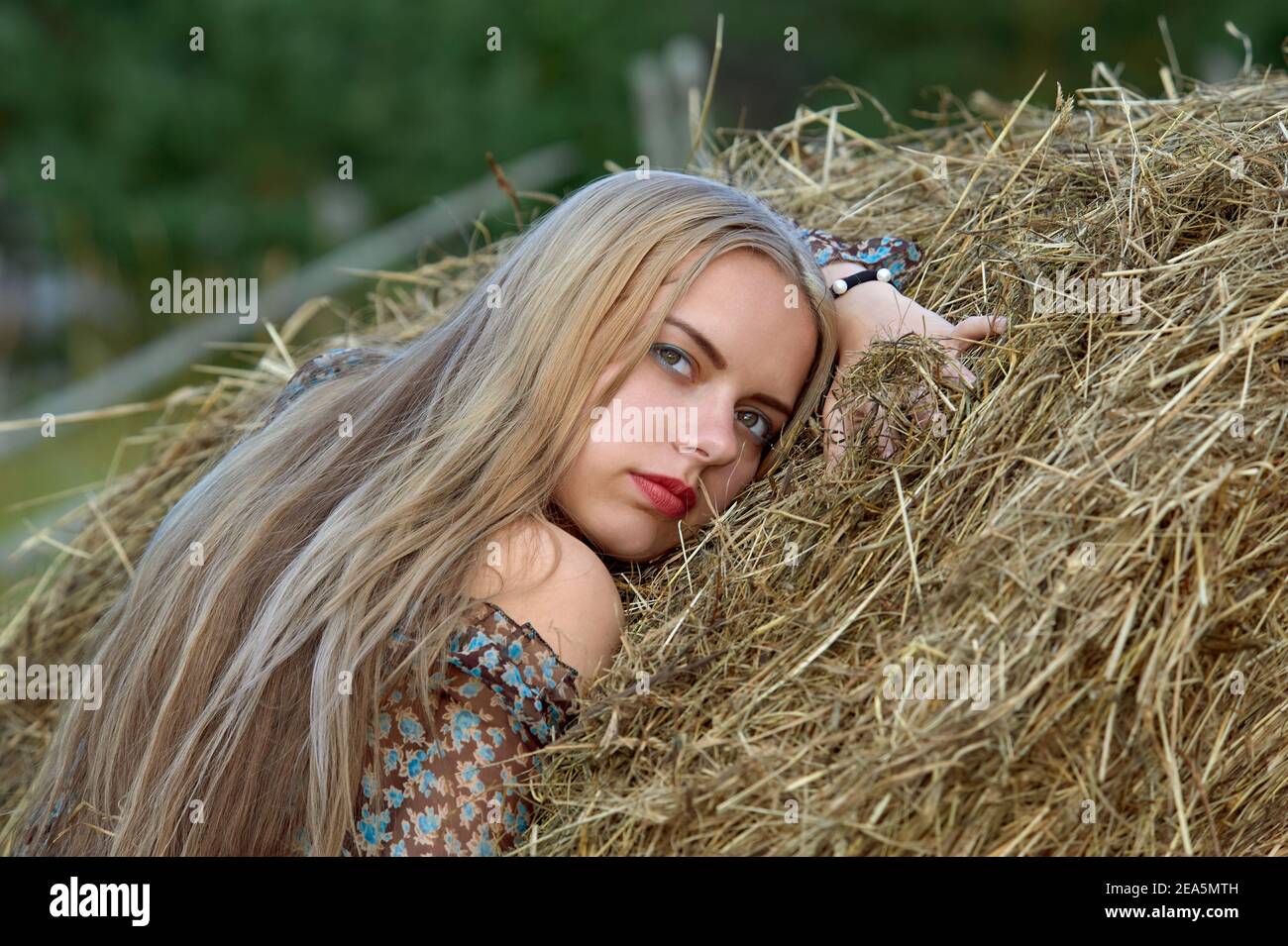 Auf einem weizenfeld liegen -Fotos und -Bildmaterial in hoher Auflösung – Alamy