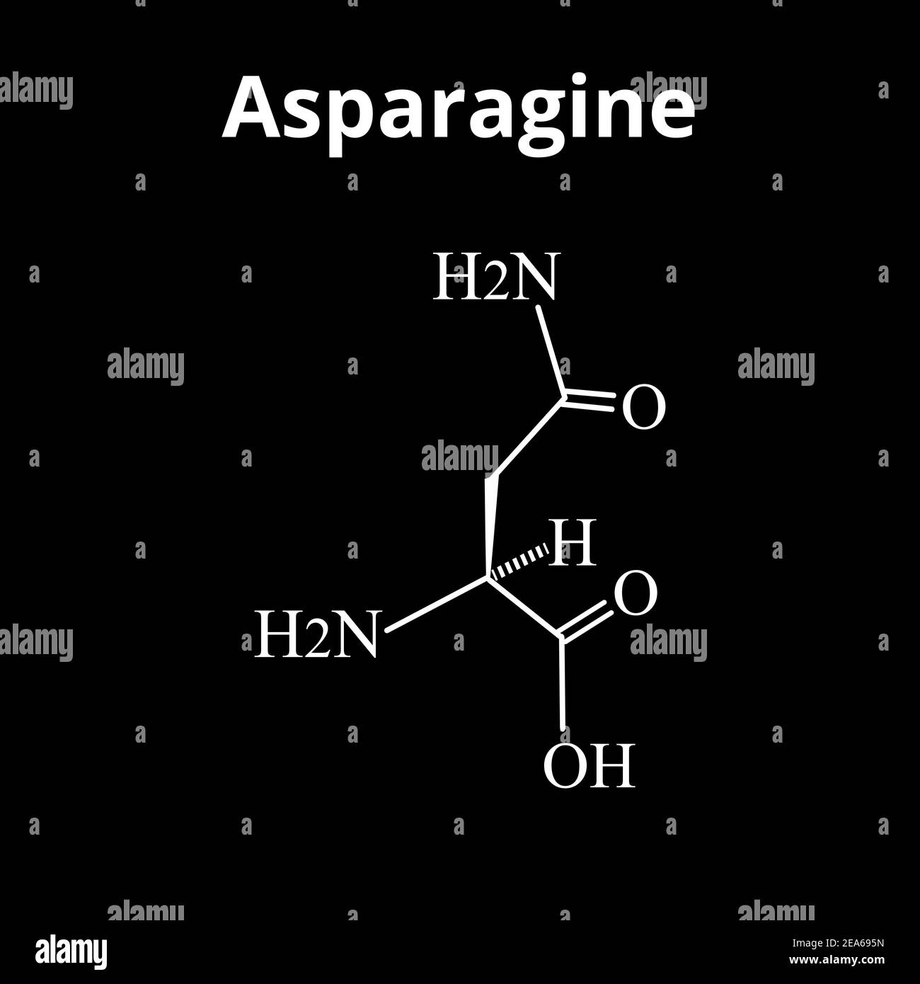Asparagin ist eine Aminosäure. Chemische Molekülformel Asparagin ist ...