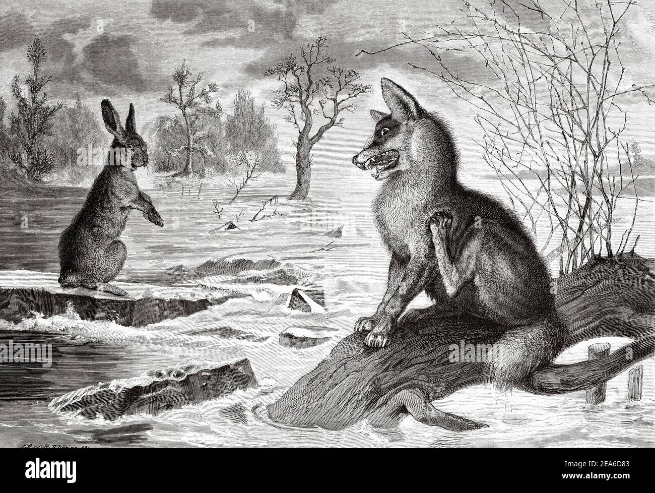 Fuchs retro Stockfotos und -bilder Kaufen - Alamy