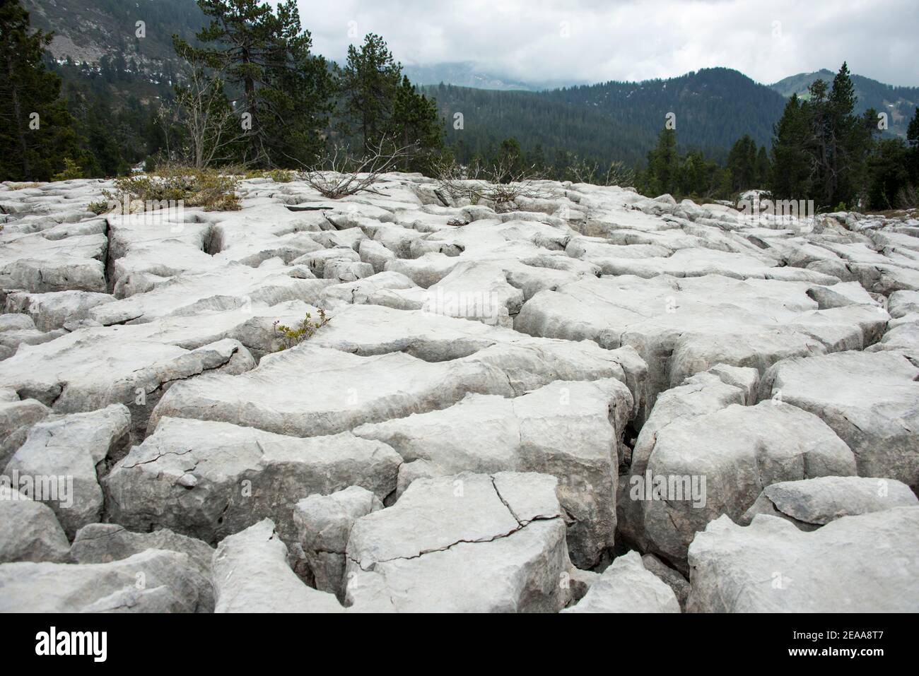 Weißer kalkstein -Fotos und -Bildmaterial in hoher Auflösung – Alamy