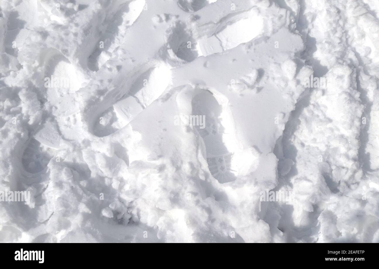 Baum mark schuh -Fotos und -Bildmaterial in hoher Auflösung – Alamy